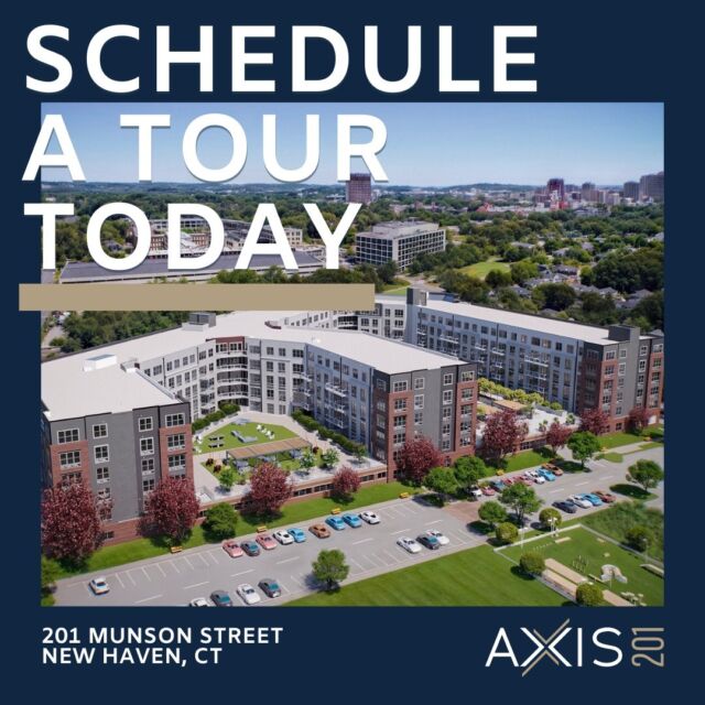 Explore The Neighborhood | New Haven, CT | Paredim Axis 201