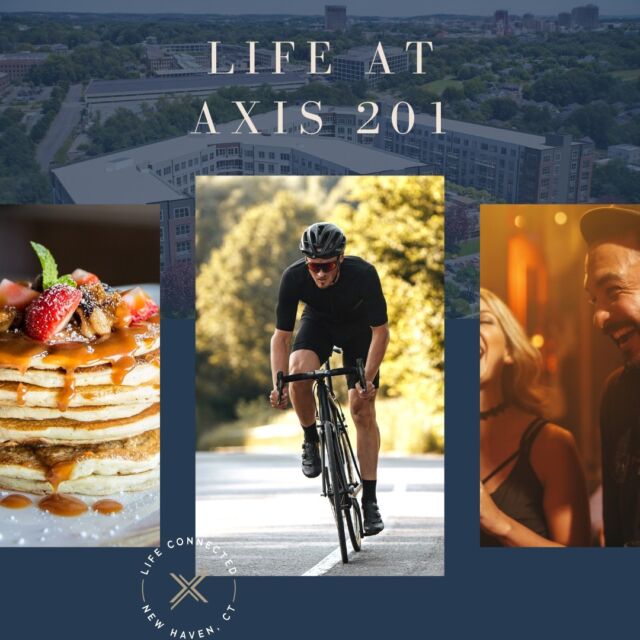 Explore The Neighborhood | New Haven, CT | Paredim Axis 201